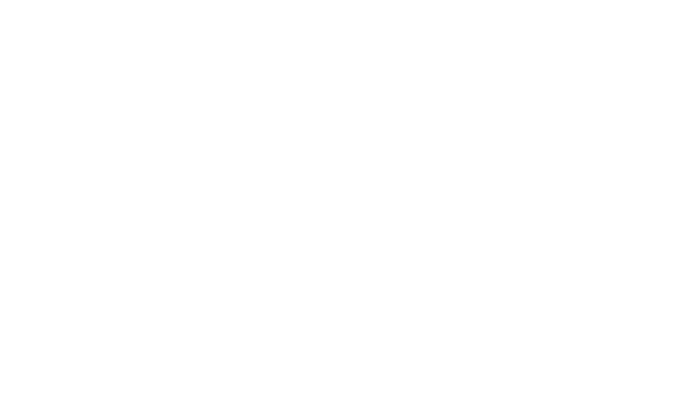 Company Information - Rampart